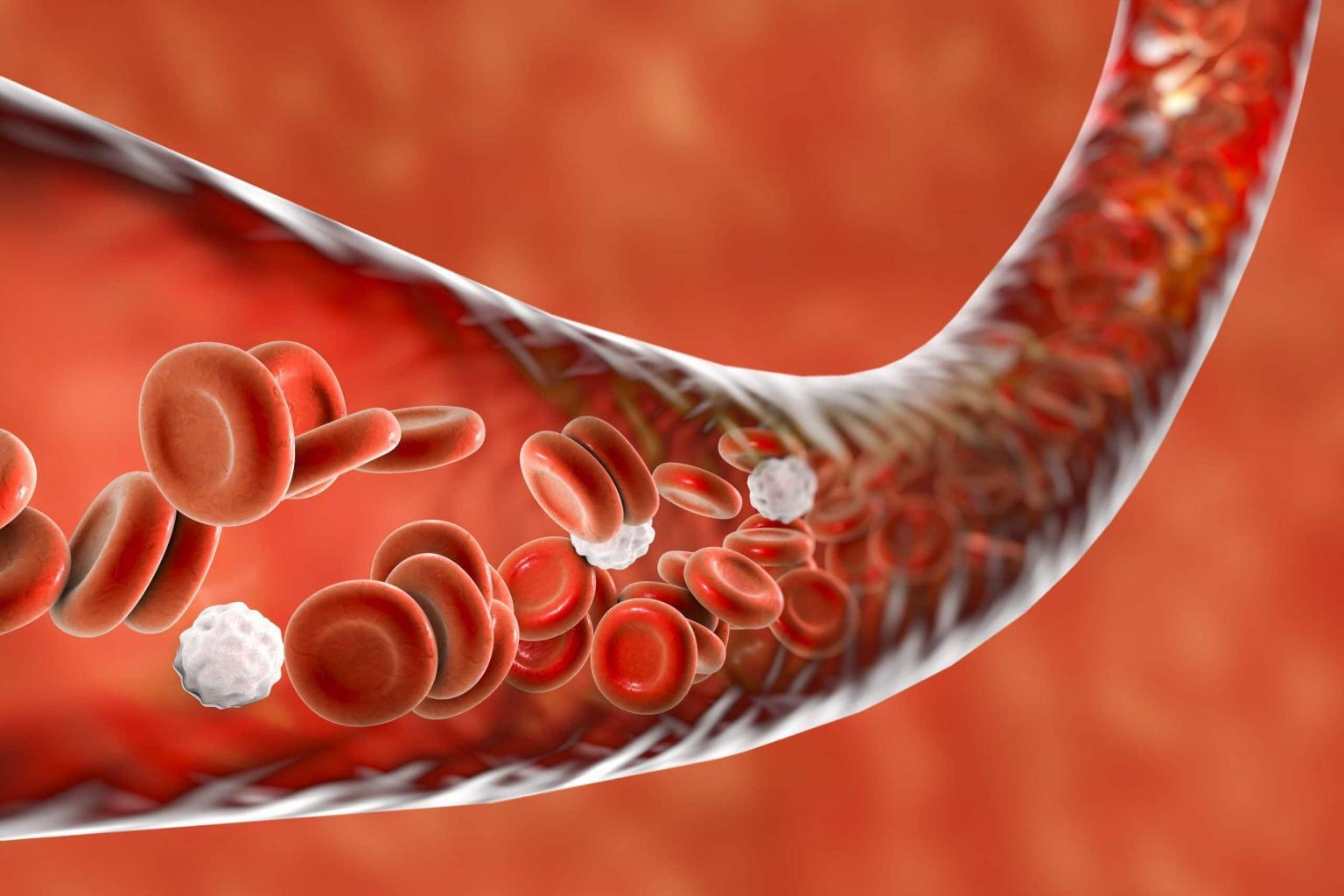 Lactate and Anaerobic Threshold - Explained! » UESCA