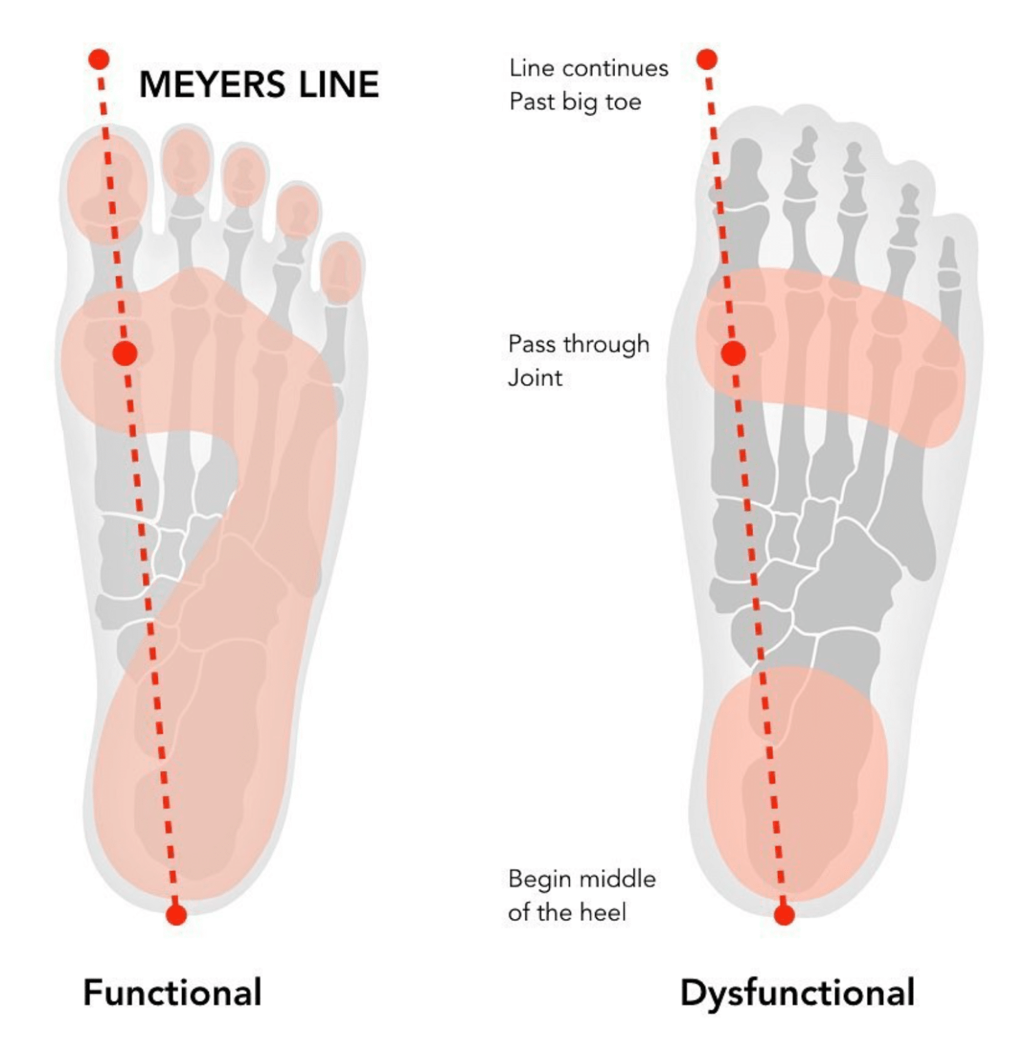 Role of the Big Toe in Running » UESCA